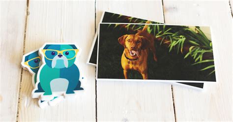 Raster Vs Vektor Was Ist Der Unterschied Blog Sticker Mule