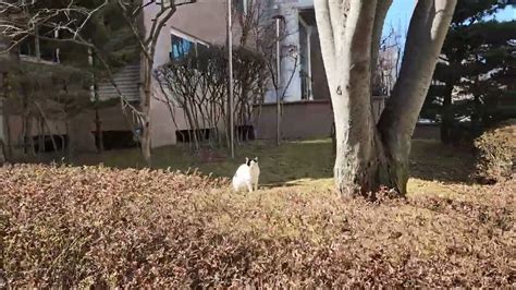 대전 용산동 경남아너스빌 아파트 Youtube