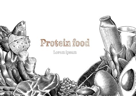 Protein Food Hand Drawing Engraving Style Clip Art 11233313 Vector Art