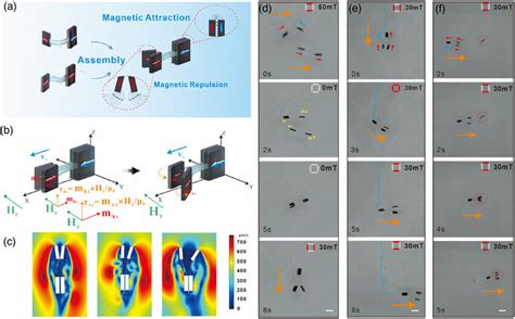 Formation And Manipulation Of The Tweezers Shaped Grabbers A