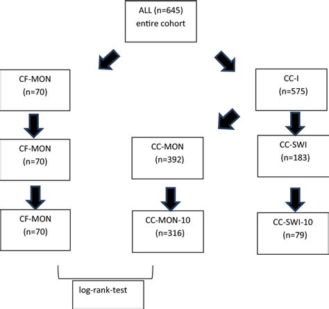 Diagram Demonstrating The Stratification Process Of Treatment Groups Download Scientific