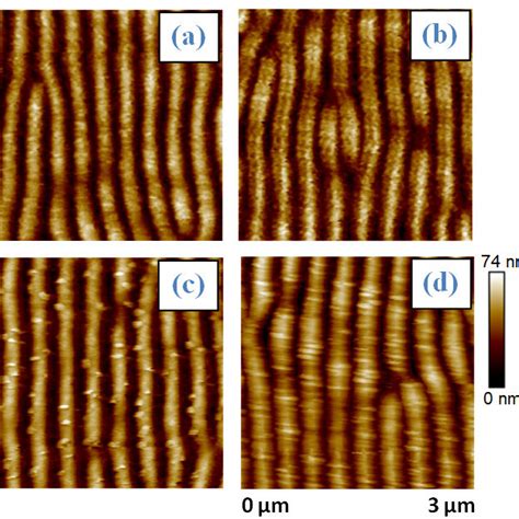 Surface Morpgholgies Of A Pristine Silver Grating B Silver Grating