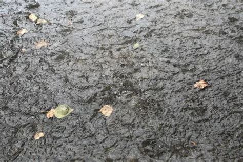 【印象白云鄂博】一场雨洗刷出别样的美丽