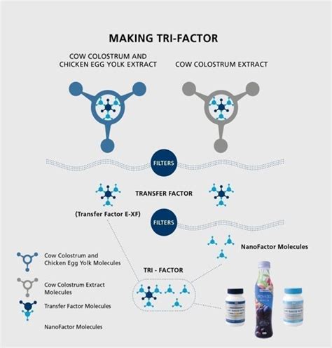 Siti4life Transfer Factor