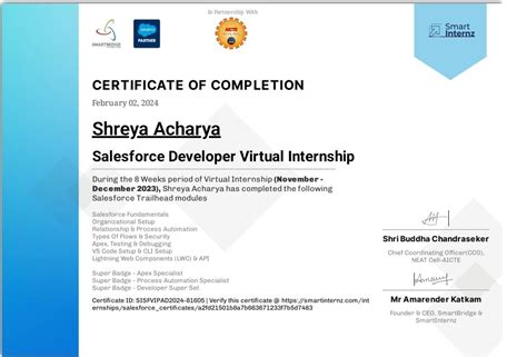 Shreya Acharya On Linkedin Salesforce Developer Internship Success