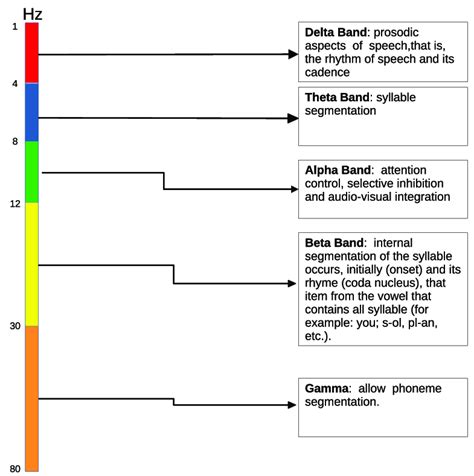 Five Main Electrophysiological Eeg Frequency Bands 39 Download