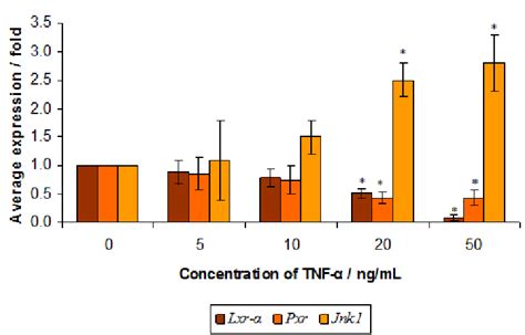 Average Mrna Expression Of Lxr α Pxr And Jnk1 As Normalised To β Actin