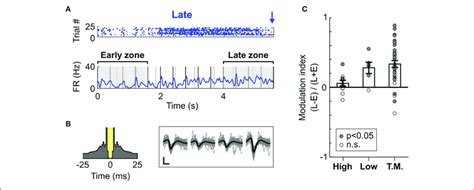 Dynamic Increase In Spiking Activity Prior To Target Occurrence A
