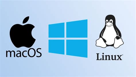 A Beginners Guide To Using And Troubleshooting The Operating Systems Windows Macos Linux