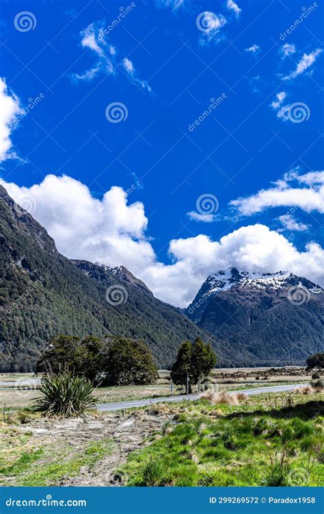 Mckinnon Pass Along The Milford Track On The Way To Milford Sound Stock
