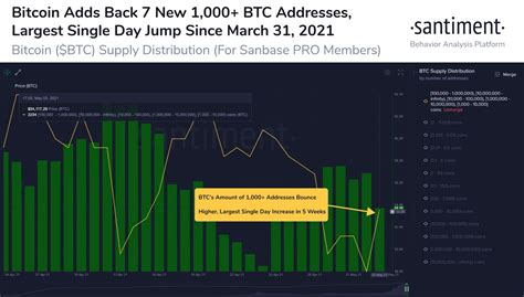 Bitcoin Btc Whale Accumulation Continues Amid Its Sideways Movement