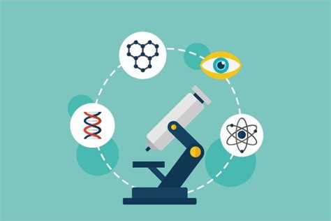 Pcsk9 Inhibitors A New Promising Lipid Lowering Therapy