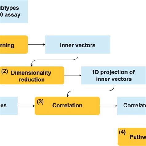 Processing Pipeline Of Deep Enrichment Analysis Method Orange Boxes