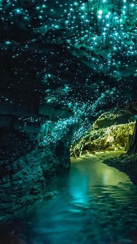 Waitomo Glowworm Caves With Boat Ride Auckland Nature Photography