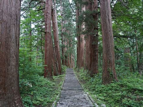 Seeking Haiku History On The 100 Mile Basho Trail In Japan Condé Nast