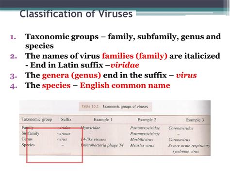 Ppt Chapter 2 Classification Of Viruses Powerpoint Presentation