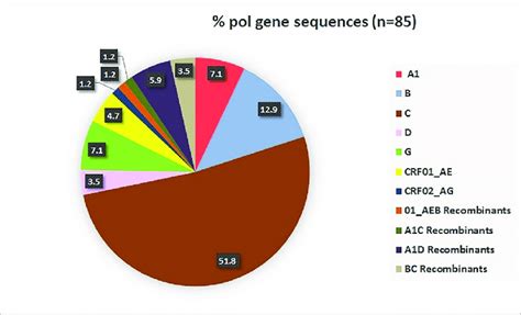Hiv 1 Subtypes The Pie Chart Illustrates The Proportion Of Various