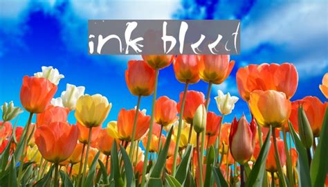 Ink Bleed Font