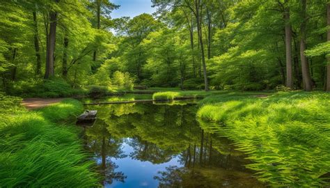 Killens Pond State Park Explore Delaware Verdant Traveler