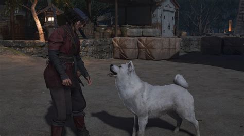 Assassins Creed Shadows Guide 16 Tips To Help You Survive Sengoku Era