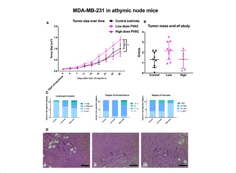 Athymic Nude Mice Were Inoculated With Mda Mb 231 Tumor Cells And