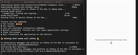 Failed To Find Assets Path For Frameworksappframeworkflutterassets