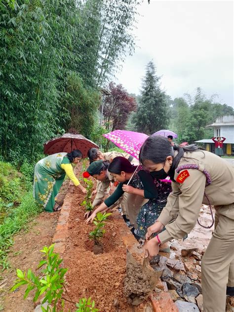 NCC Holds Tree Plantation Drive Highland Post