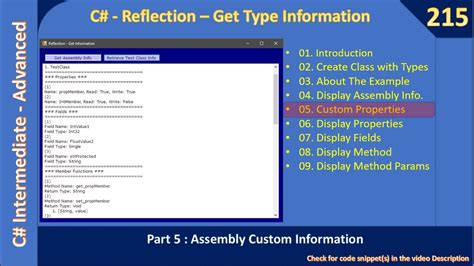 C Reflection Assembly Info Part 5 Get Custom Properties C
