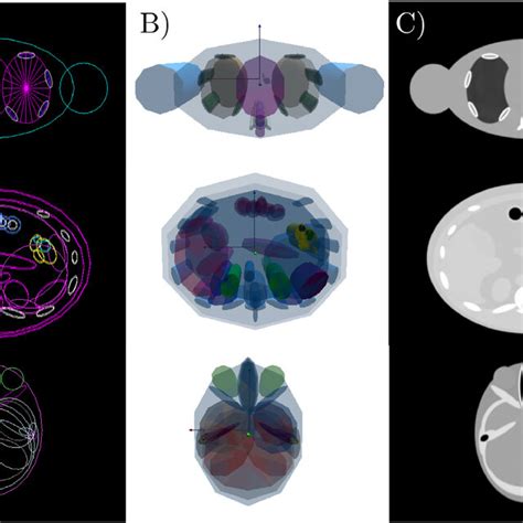 Representation Of The Anthropomorphic Phantoms A Parametric Sketch Download Scientific