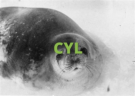 Cyl Meaning