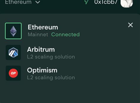 Bug Network Selector Displays Dummy L2 Options Issue 565