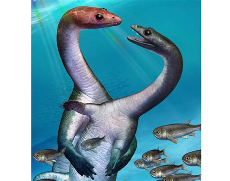 Sexual Evolution Million Years Ago Techzle