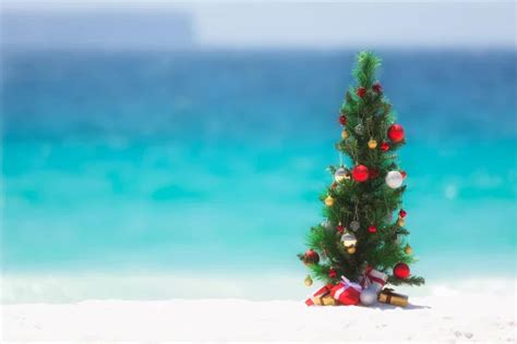 Australian Christmas 스톡 사진 로열티 프리 Australian Christmas 이미지 Depositphotos