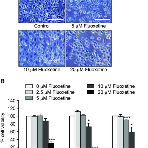 Fluoxetine Exhibits A Potent Cytotoxic Effect On Ags Cells A Ags