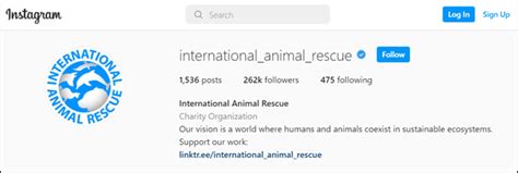 Crear biografías de Instagram ideas para la mejor Instagram bio IONOS MX