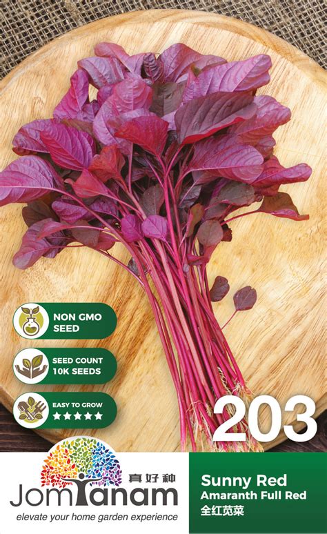 Amaranth Full Red Sunny Red Cityfarm Malaysia