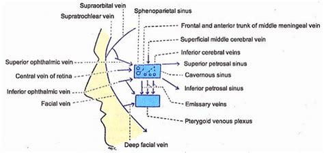 Applied Anatomy Of Cavernous Sinus Epomedicine