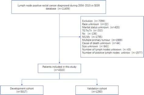 Flow Diagram Of The Rectal Cancer Patients With Development And