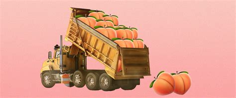 Why Must We Call Big Asses ‘dump Trucks