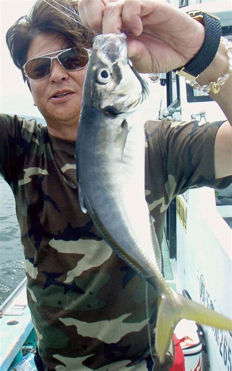 千葉・金谷沖 魚体キラキラ金アジに挑戦 釣り 日刊スポーツ