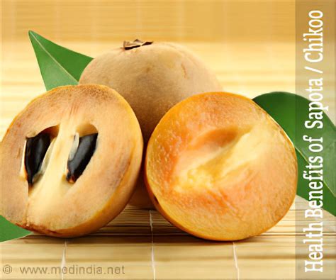 Chikoo Fruit Fresh Sapota Supplier From Mahesana Gujarat