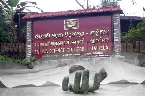 දියේ ගිලී මියගිය දරුවන් සිව් දෙනාගේ දේහයන් රෝහලේ