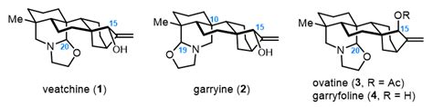 四川大学秦勇团队jacs：二萜生物碱 Garryine的首次不对称全合成 X Mol资讯