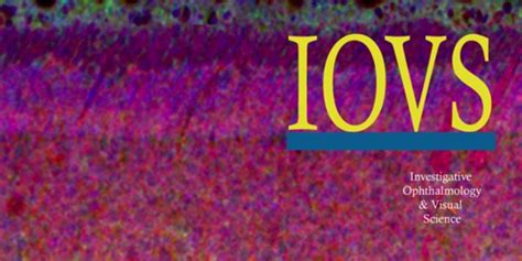 How To Treat The Peripheral Cornea In Pmd The Elza Institute