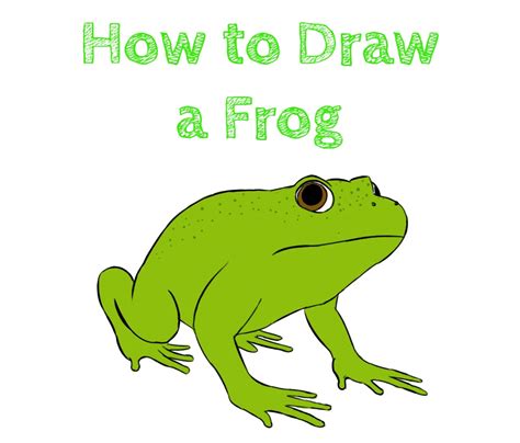 How To Draw A Frog How To Draw Easy