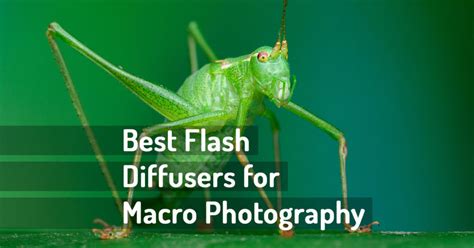 Macro Flash Diffuser At Shelly Ahmed Blog