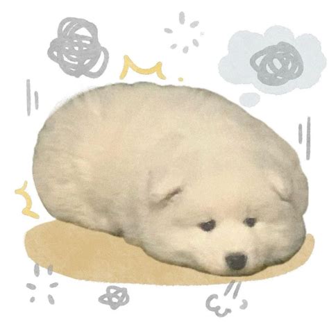 萌宠来袭！圆滚滚的白色小狗趴着休息，可爱到爆的头像 男女头像｜好喜欢这组动漫真人头像表情包图片动图 求表情网斗图从此不求人