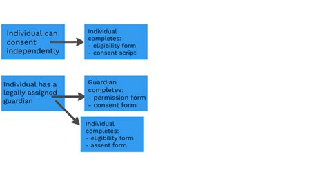 Flow Chart Consent Process By Michelle Pu On Prezi