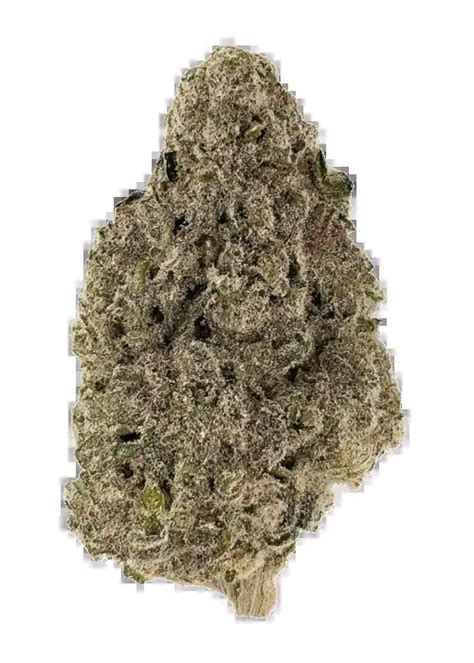 Bubble Runtz Cannabis Strain Information Growdiaries