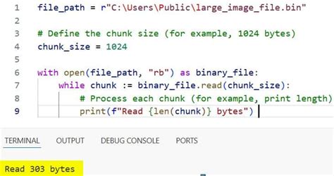 How To Read A Binary File In Python
